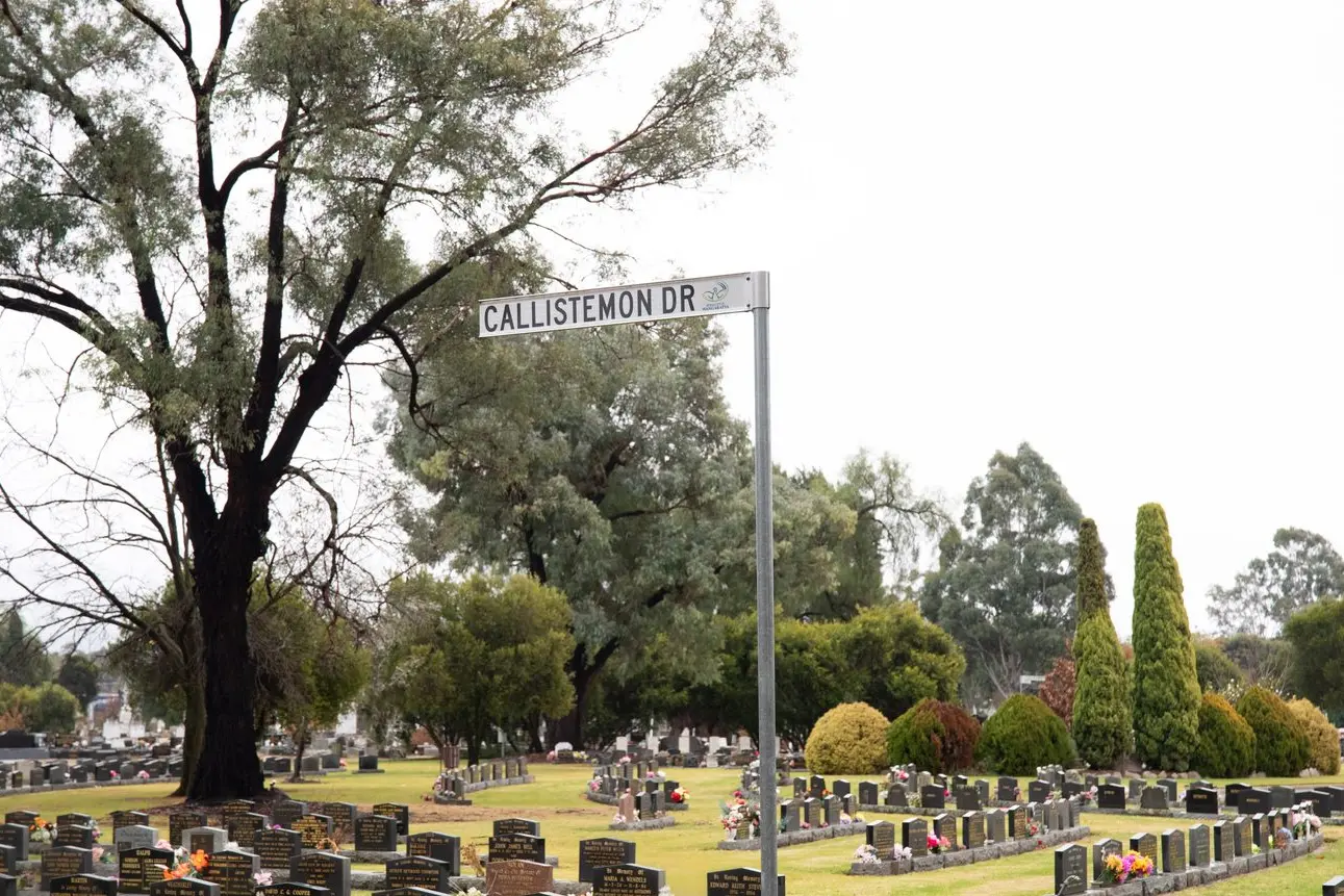 New road names proposed for cemetery
