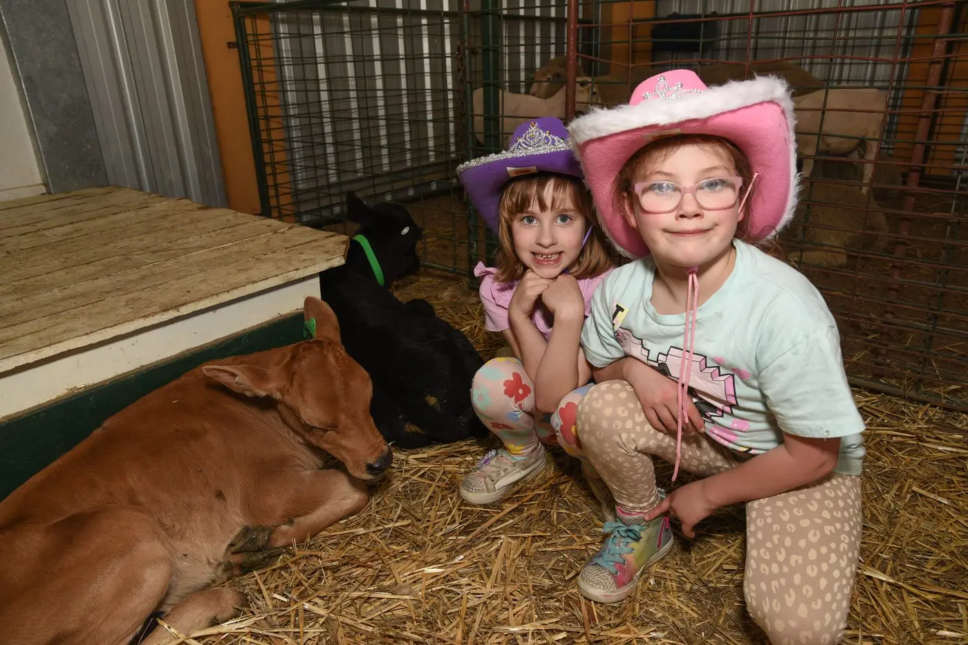 Wangaratta Show wowed the crowds