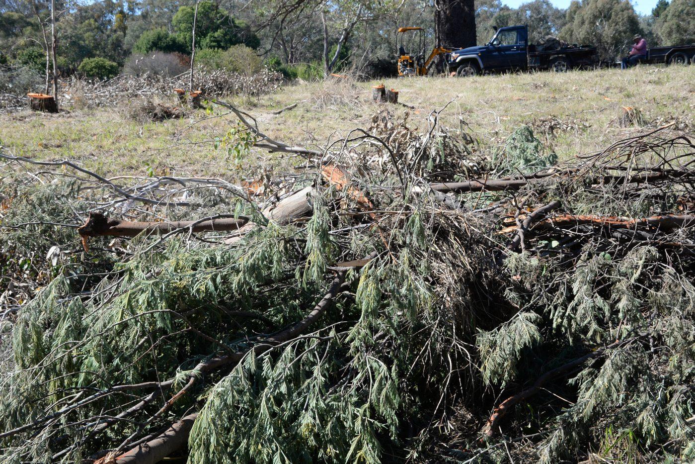 Wodonga court case sees $3000 fine for illegal cutting of trees