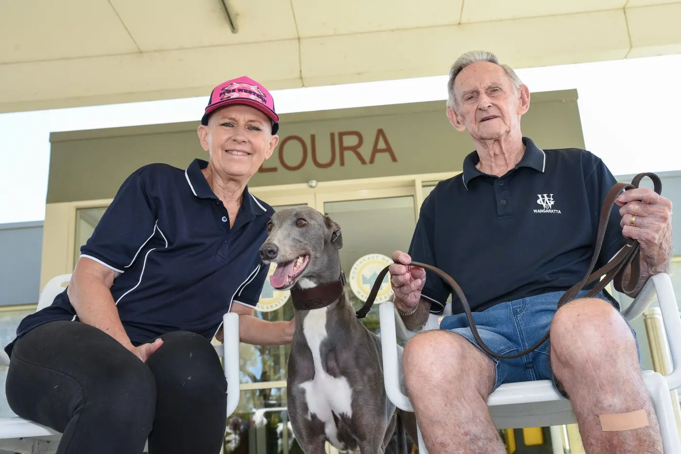 A greyhound's special touch