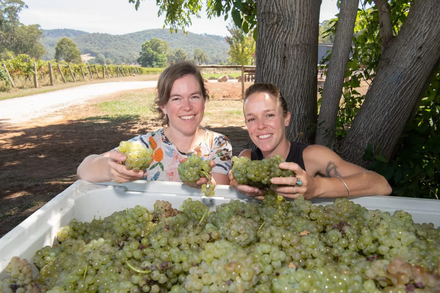 Sisters Sophie and Grace Darling take the reins at Darling Estate Wines