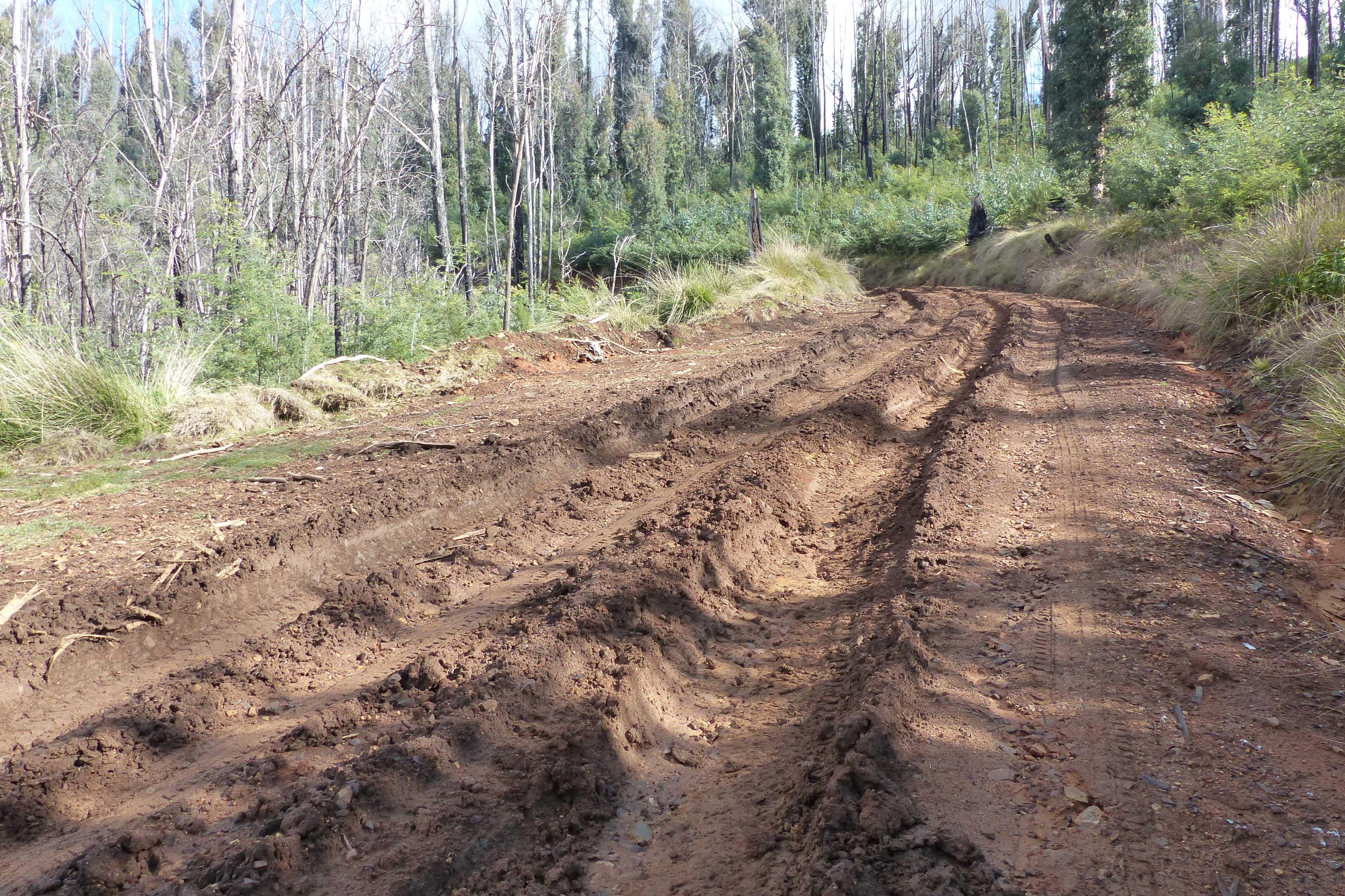 Winter road and track closures across public land