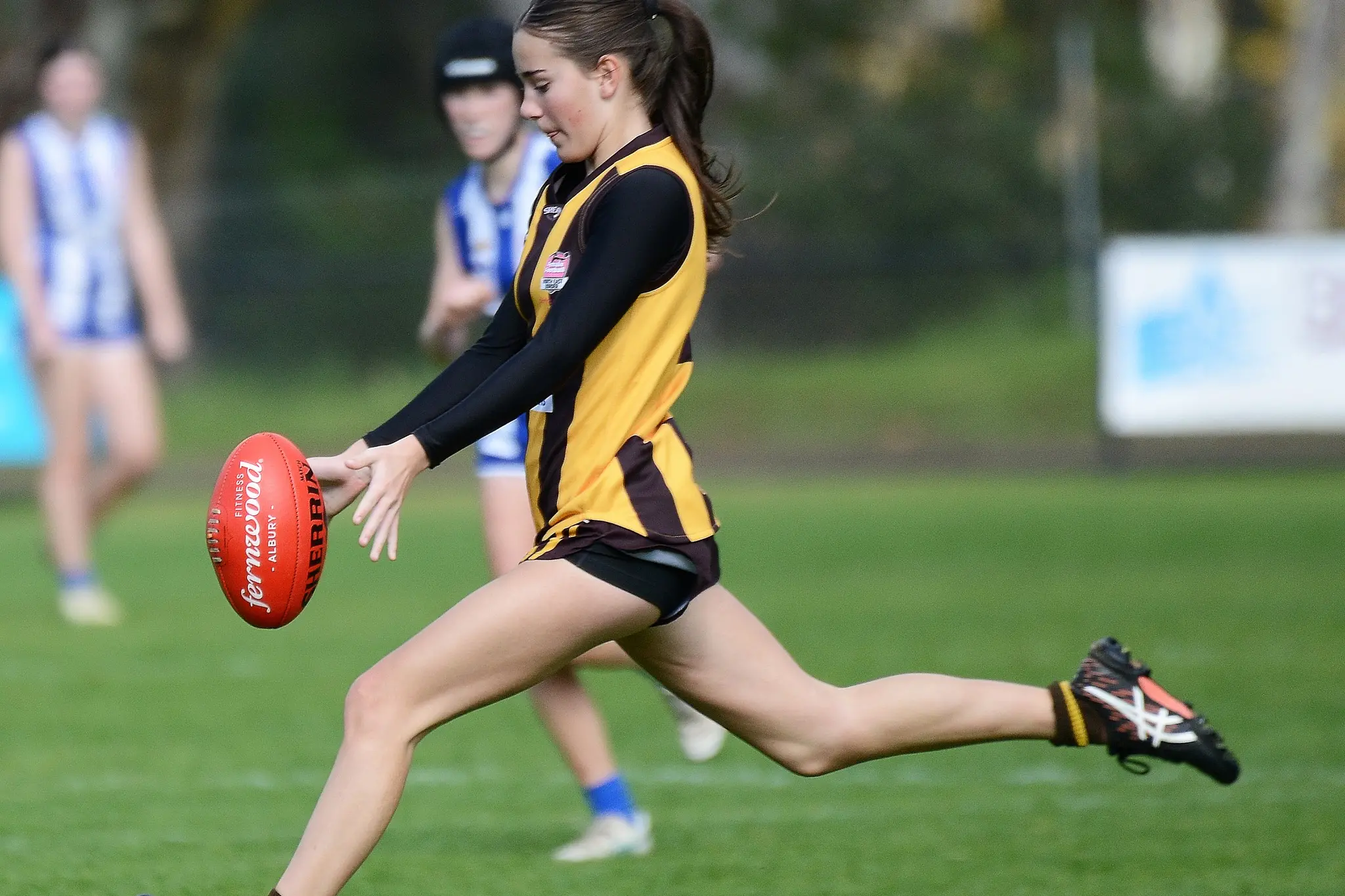 Hawks fight hard against bounding Roos